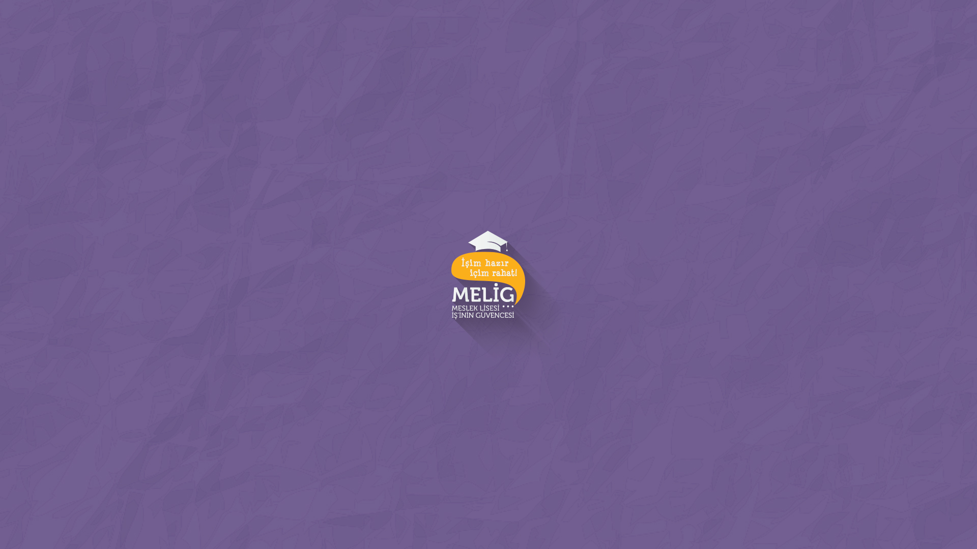 Directiva - Melig Proje